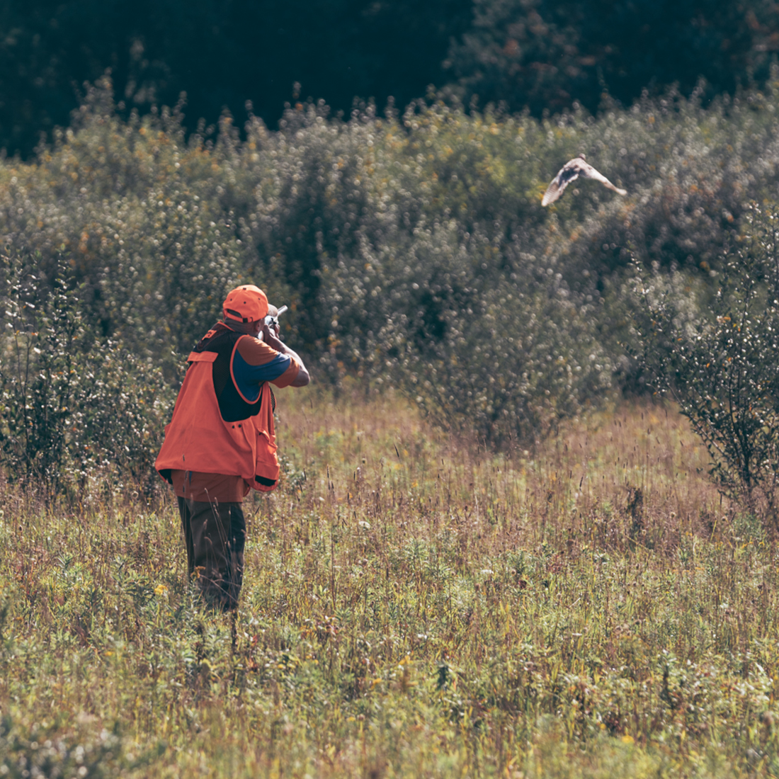 Membership – Haymarsh Hunt Club